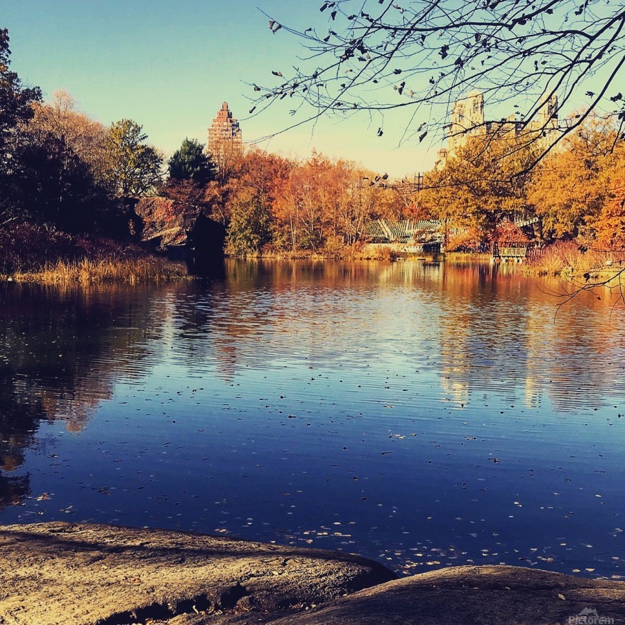 NYC Central Park by AEDIFICO Prints Wall Art